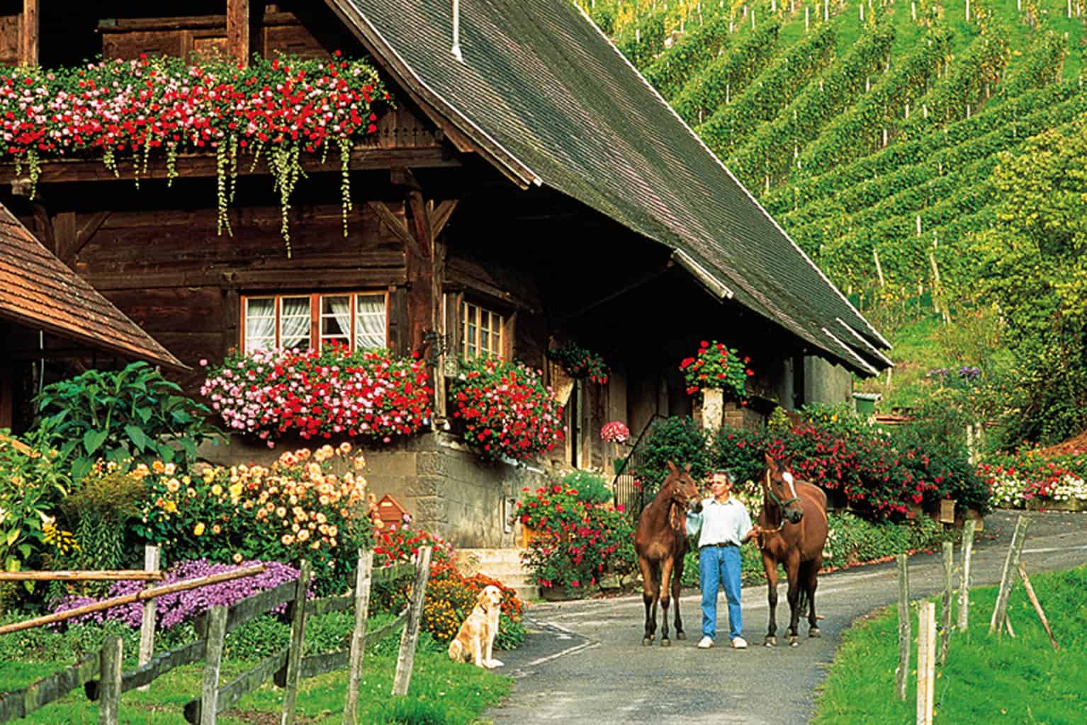 Der Breisgau im Hochschwarzwald: Ein Juwel im Südwesten Deutschlands ...