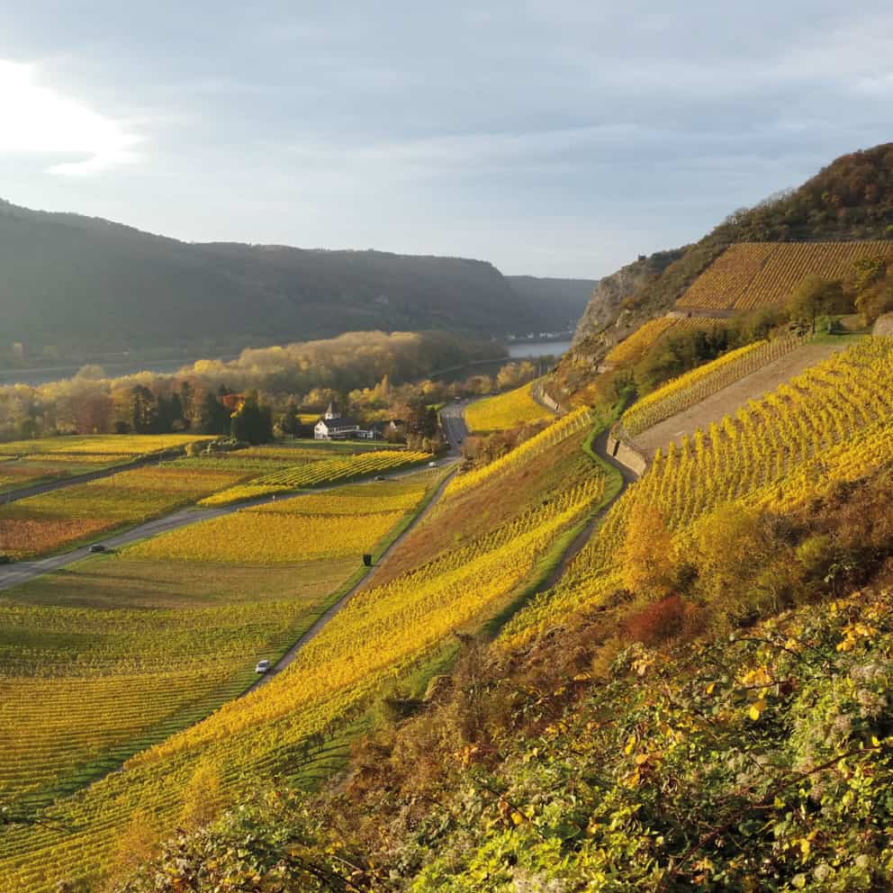Romantischer Rhein Archive - Reiseziele Deutschland