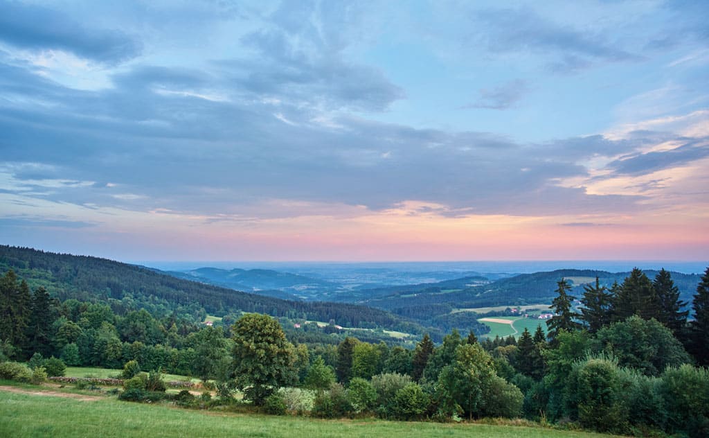 Waldgeflüster im Bayerischen Wald - Reiseziele Deutschland