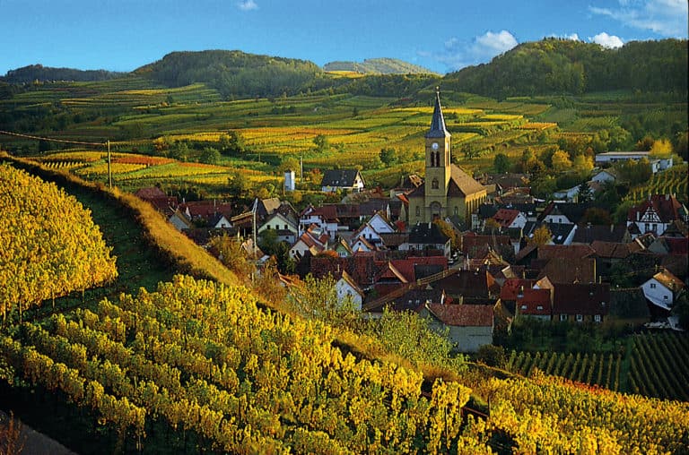 Die warme Seite Deutschlands: Der Kaiserstuhl - Reiseziele Deutschland
