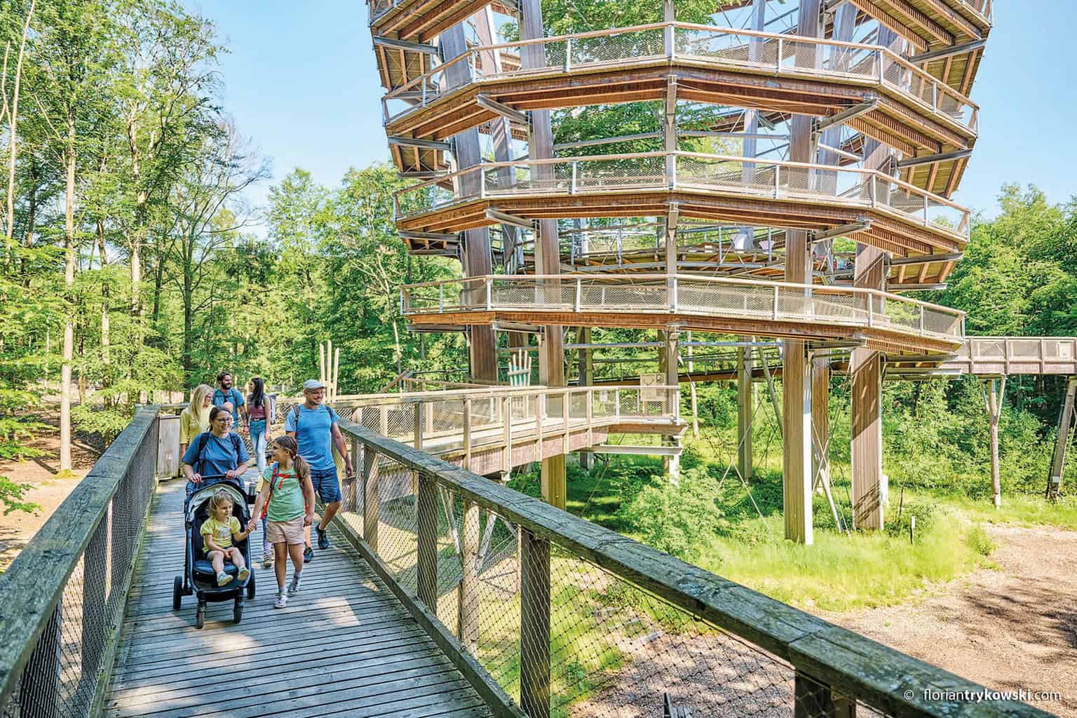 Der Steigerwald - Ganz Franken in einer Region - Reiseziele Deutschland