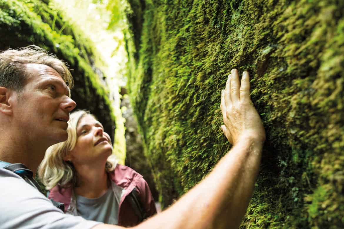 Faszinierende Natur im Herzen Deutschlands: Wandern, Radfahren und ...