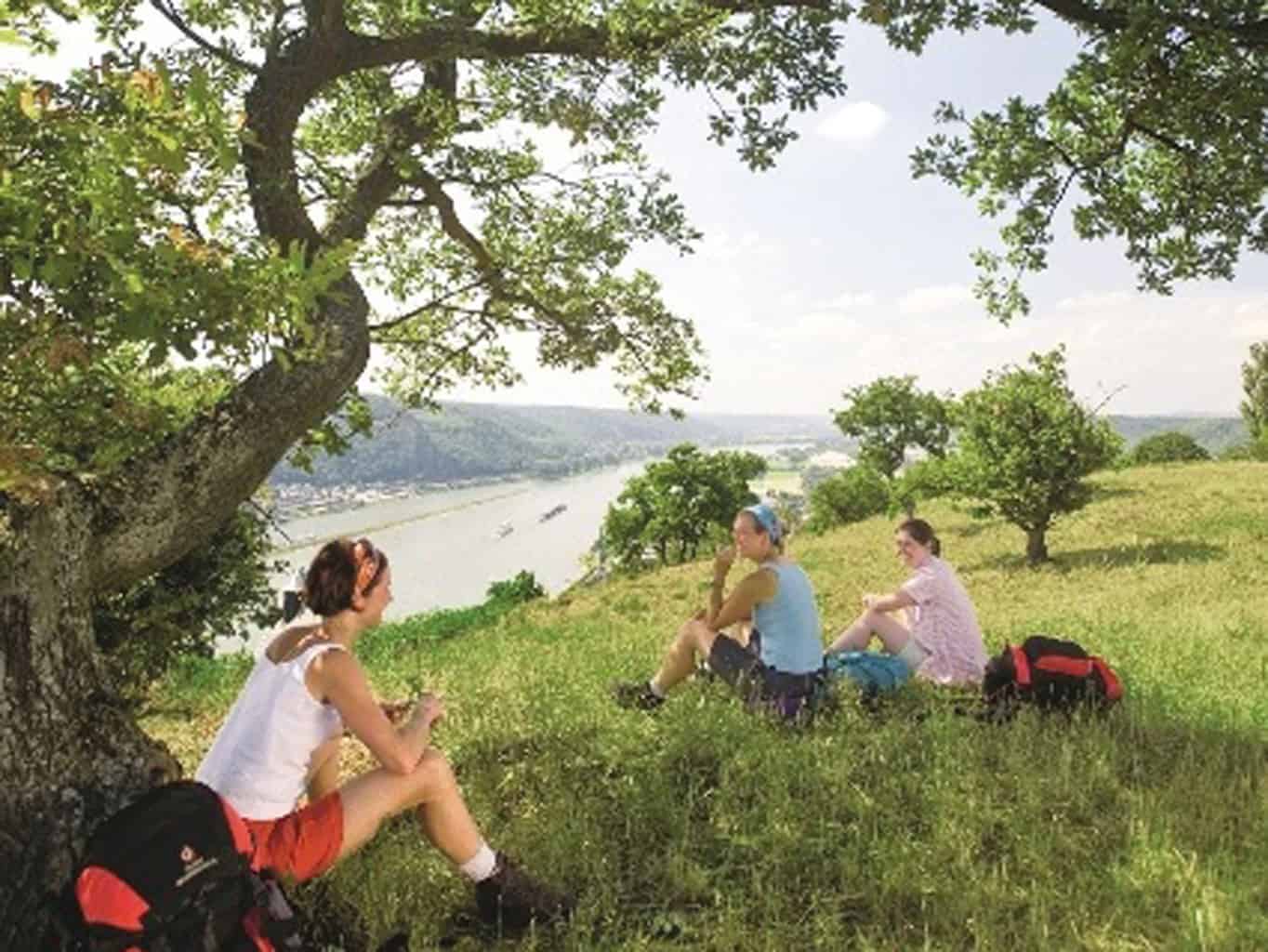 Romantischer Rhein Archive - Reiseziele Deutschland