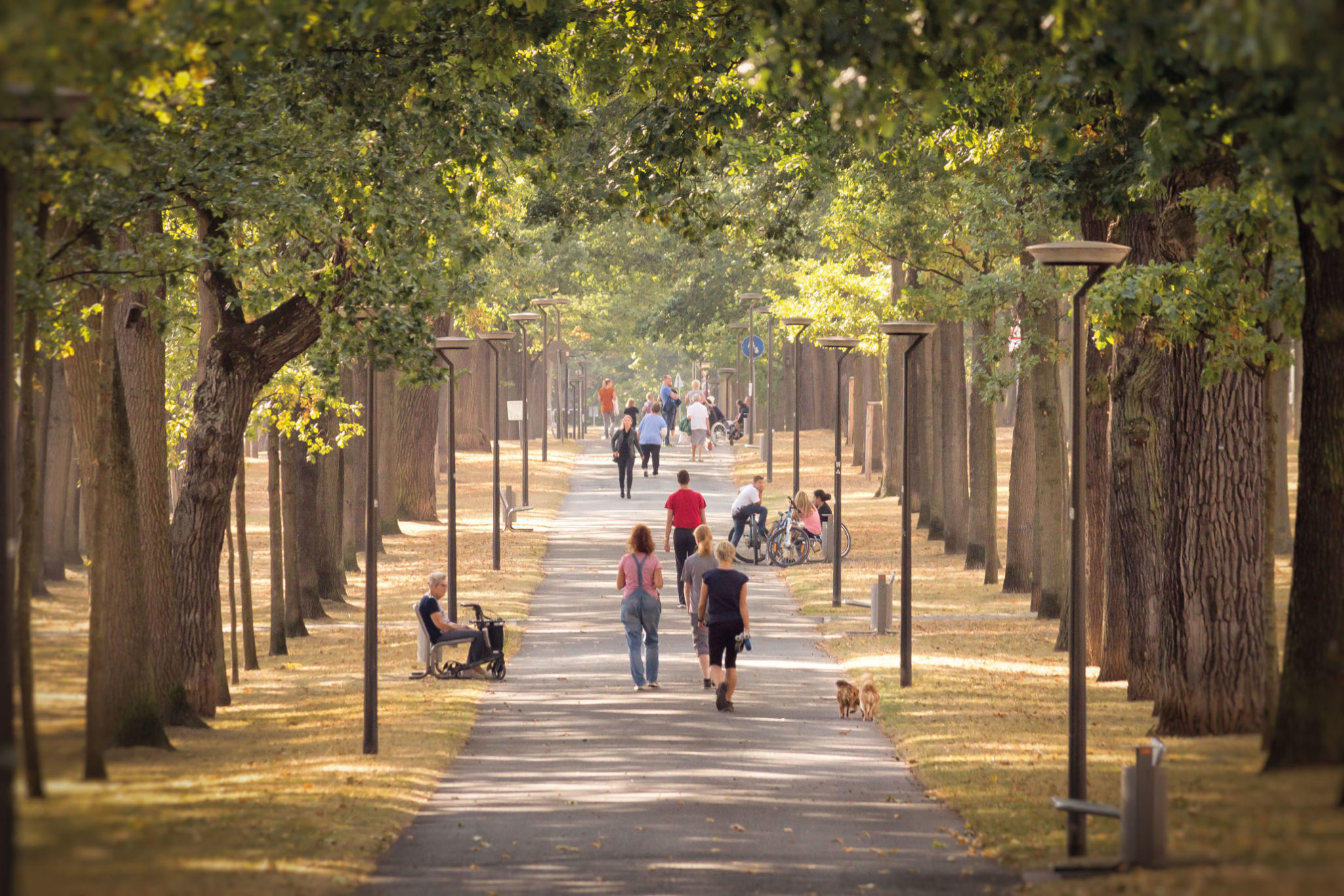 Bad Arolsen – Traumhafte Erlebnisse in der Barockstadt am Twistesee ...