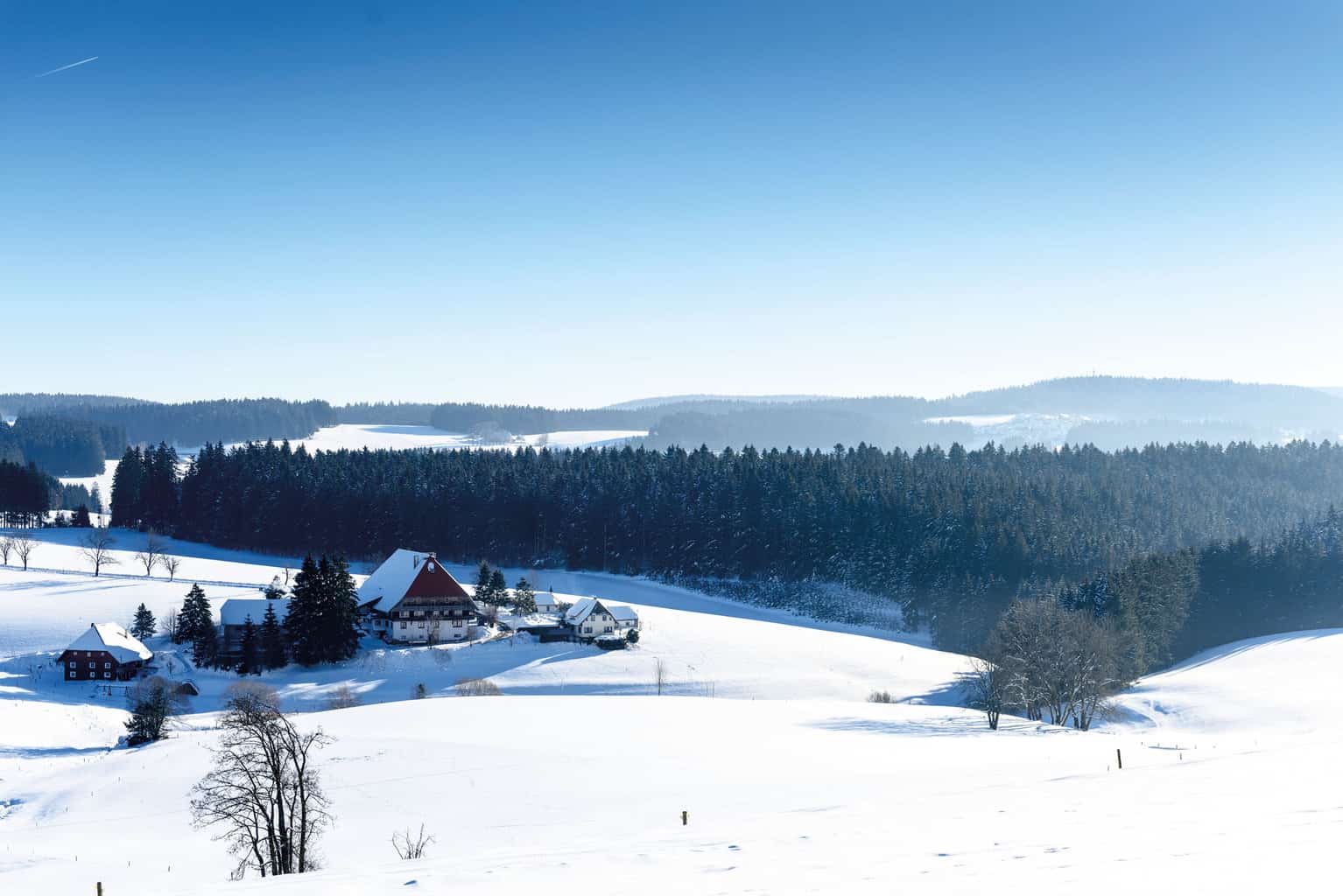 Furtwangen: 879 Meter über dem Alltag - Reiseziele Deutschland