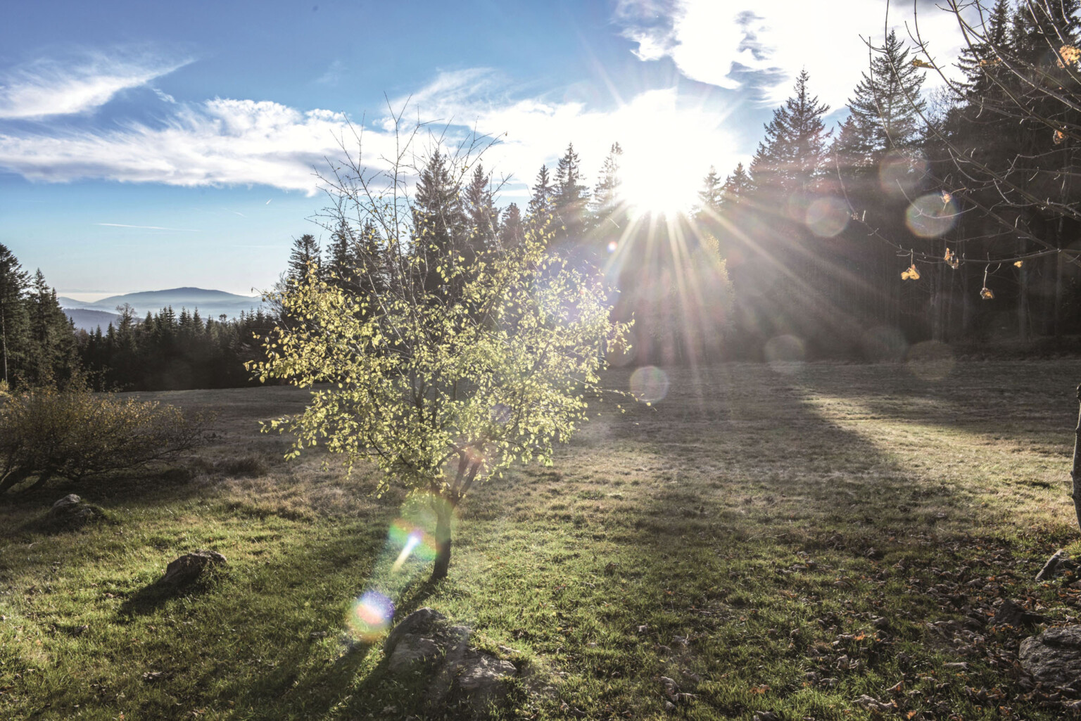 Wandern, Wellness & ganz viel Wald: „Bayerisch Kanada“ - Das ...