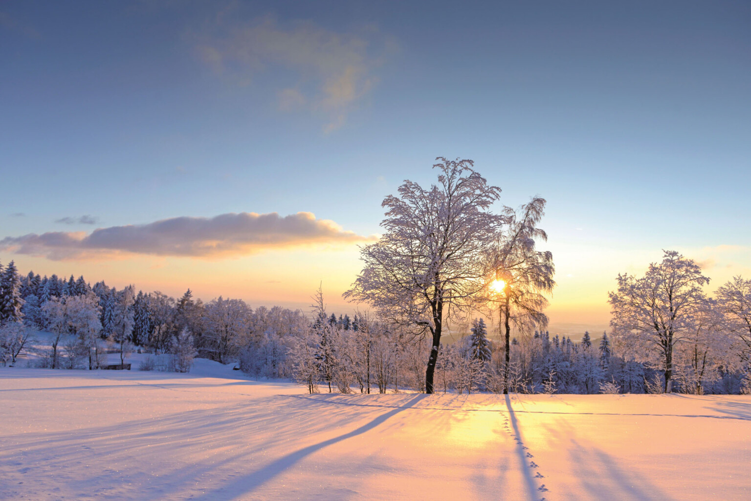 Wandern, Wellness & ganz viel Wald: „Bayerisch Kanada“ - Das ...